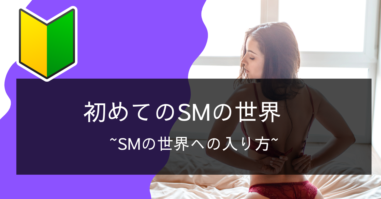 初めてのSMの世界 ~SMの世界への入り方~ | Luna SMガイド